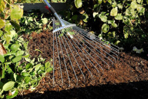 Best Garden Rakes for 2025 | Australian Buying Guide - AGT