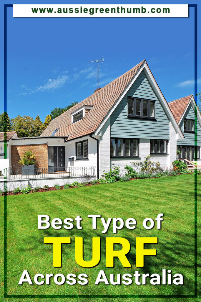 Grass Types in Australia | Picking the Best Type of Turf : AGT