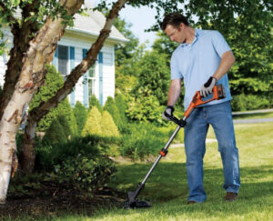 Best Whipper Snippers in Australia (2025 Hands-On Reviews)