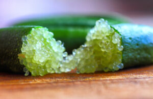 Citrus australasica (Finger Limes) Growing Guide - AGT