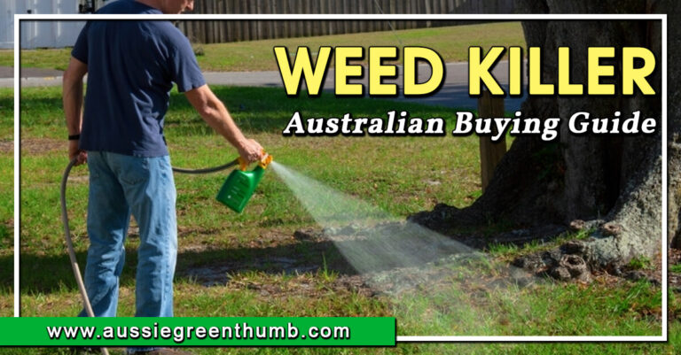 How to Get Rid of Bindii Weed From Your Lawn - AGT
