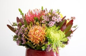 42 Best Australian Native Flowers - AGT