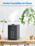 7 Best Plant Humidifiers – Australian Buying Guide 2022
