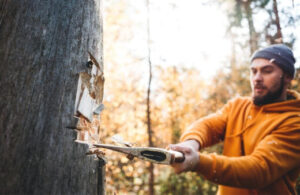 7 Best Axe and Block Splitters for 2025 - Australian Guide