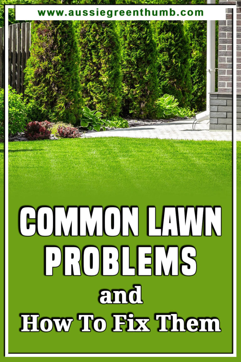 9 Common Lawn Problems and How To Fix Them : AGT