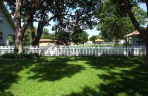 9 Common Lawn Problems and How To Fix Them : AGT