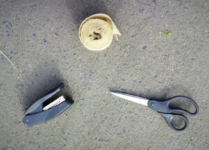 Garden Staking Basics Guide | How to Stake a Tree