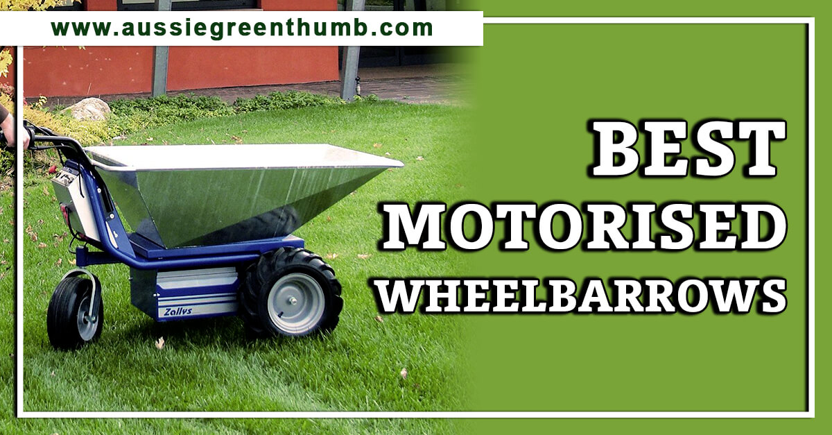 Best Motorised Wheelbarrows for 2025 : AGT