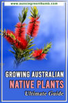 Growing Australian Native Plants Ultimate Guide - AGT