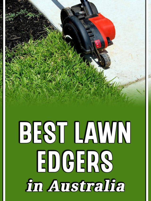 Best Lawn Edgers in Australia - Aussie Green Thumb