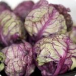 Brussels Sprouts Ultimate Australian Growing Guide
