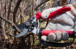 6 Best Gardening Secateurs for 2025 | Australian Guide
