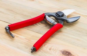 6 Best Gardening Secateurs for 2025 | Australian Guide