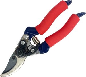 9 Best Gardening Secateurs for 2024 | Australian Guide