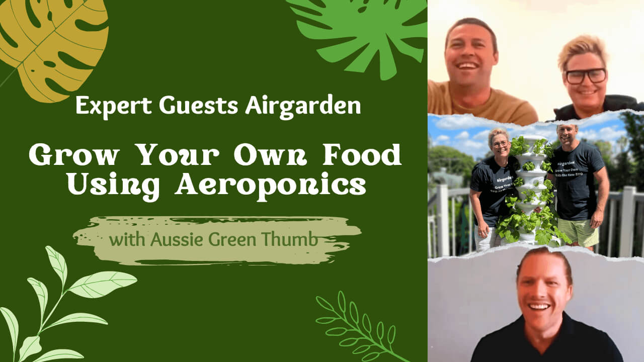 Airgarden Founders Prue and Tom speak about Aeroponics with Aussie ...