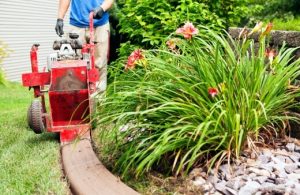 30 Garden, Lawn and Landscaping Edging Ideas - AGT