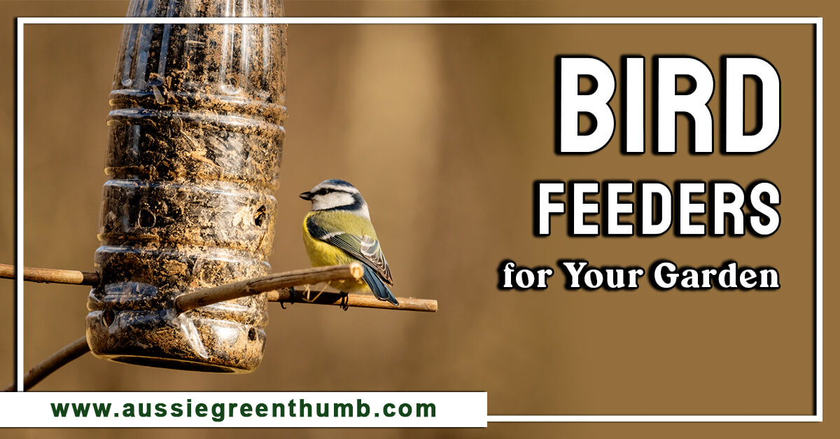 19 Bird Feeders for Your Garden : AGT