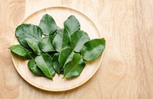 How to Grow Kaffir Lime in Australia : AGT