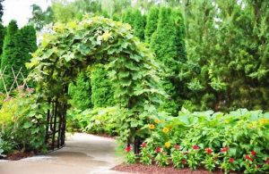 Best Garden Archways and Arbours for 2025 - AGT