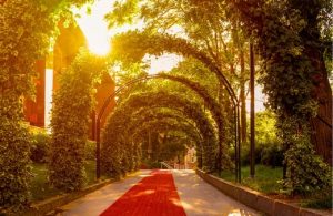 Best Garden Archways and Arbours for 2025 - AGT