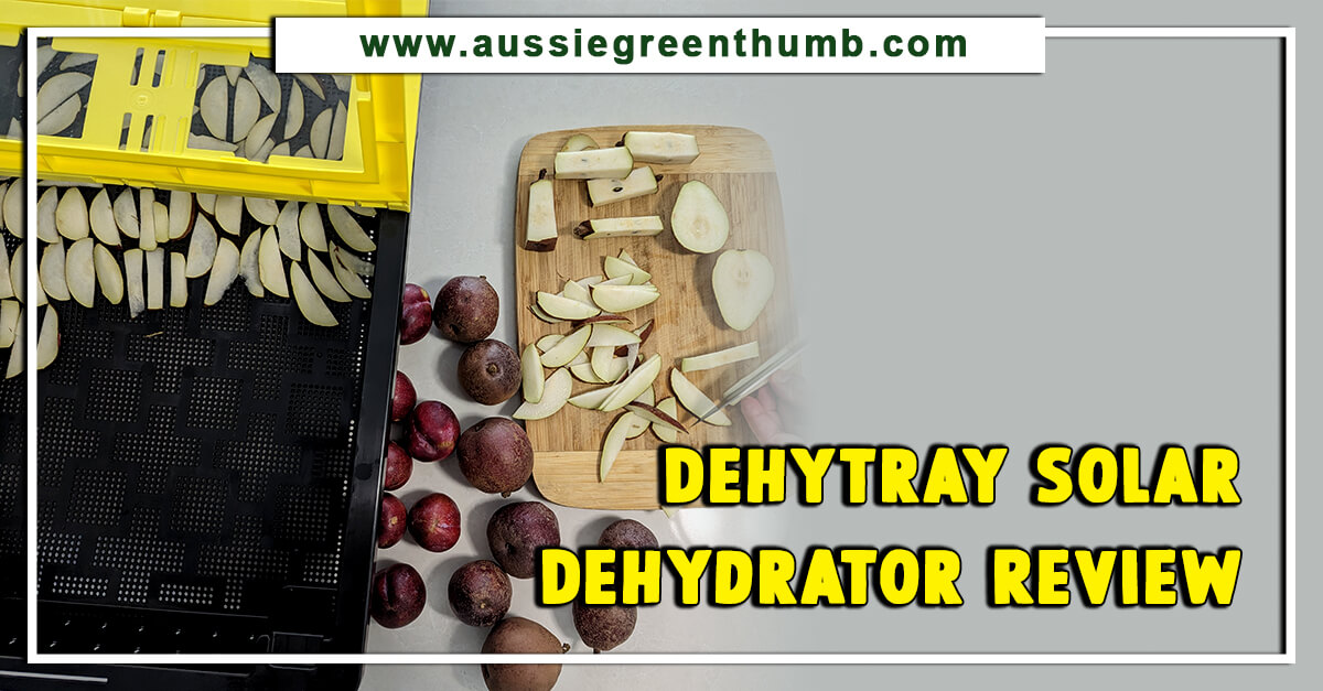 Dehytray Solar Dehydrator Review : AGT