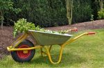 Green Waste Removal: A Disposal Guide for Gardeners - AGT