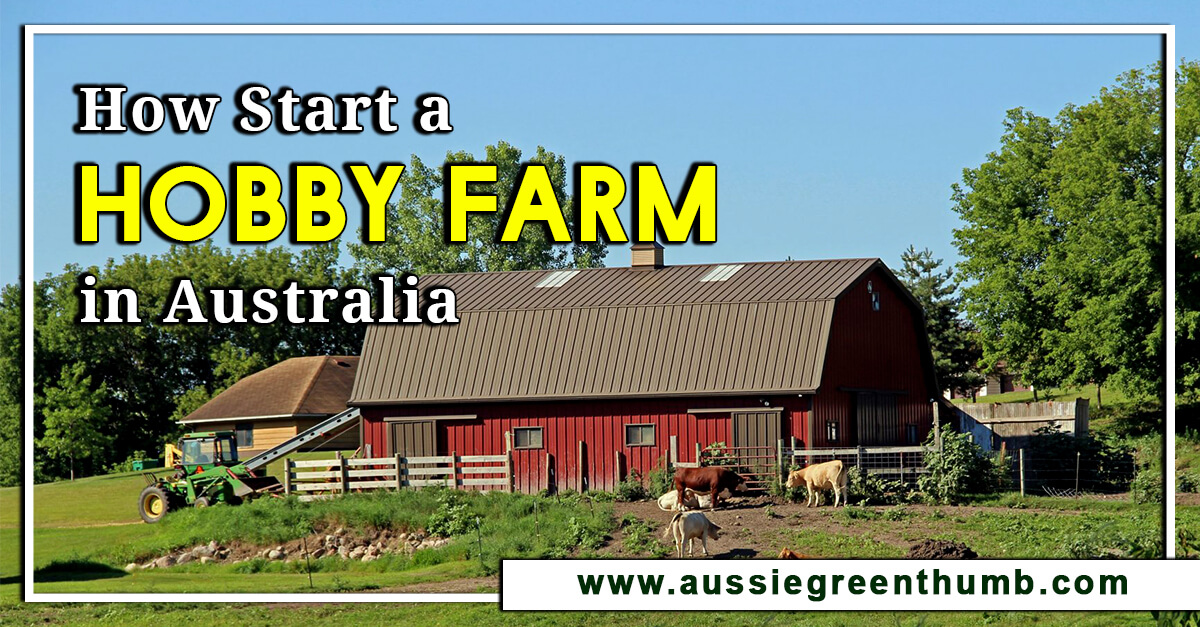 How Start a Hobby Farm in Australia : AGT