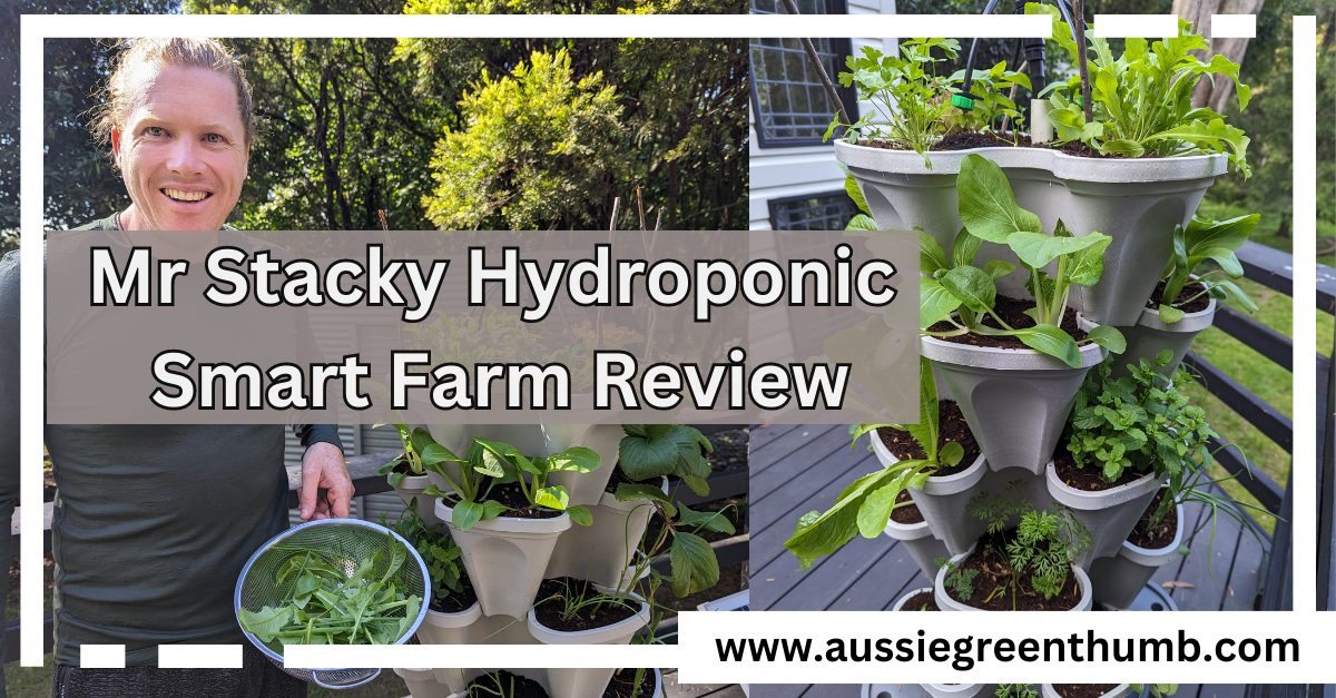 Mr Stacky Hydroponic Smart Farm Review : AGT