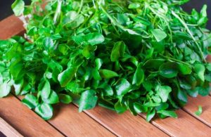 How to Grow Watercress in Australia : AGT