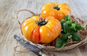 30 Tastiest Heirloom Tomatoes to Grow in Australia
