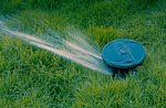 6 Best Pop Up Lawn Sprinkler Systems in Australia for 2025