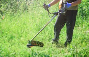 Whipper Snippering: How to Use a Whipper Snipper Correctly