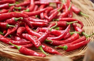 Chilli Plant: How to Grow Chillies in Australia : AGT