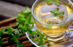 How to Grow Mint in Australia : AGT