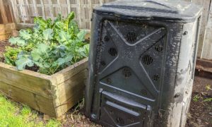 Bokashi Composting: Beginner's Guide Australia