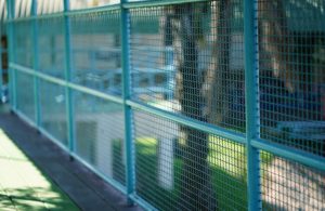 21 Popular Types of Fences For Your Home : AGT