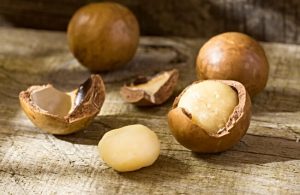 Macadamia integrifolia (Macadamia Nuts) - Australian Native Growing Guide