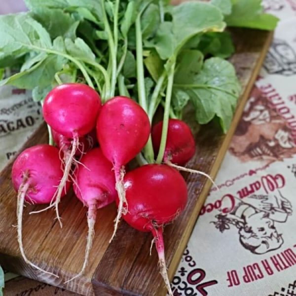 24 Different Types of Radishes to Grow at Home - AGT