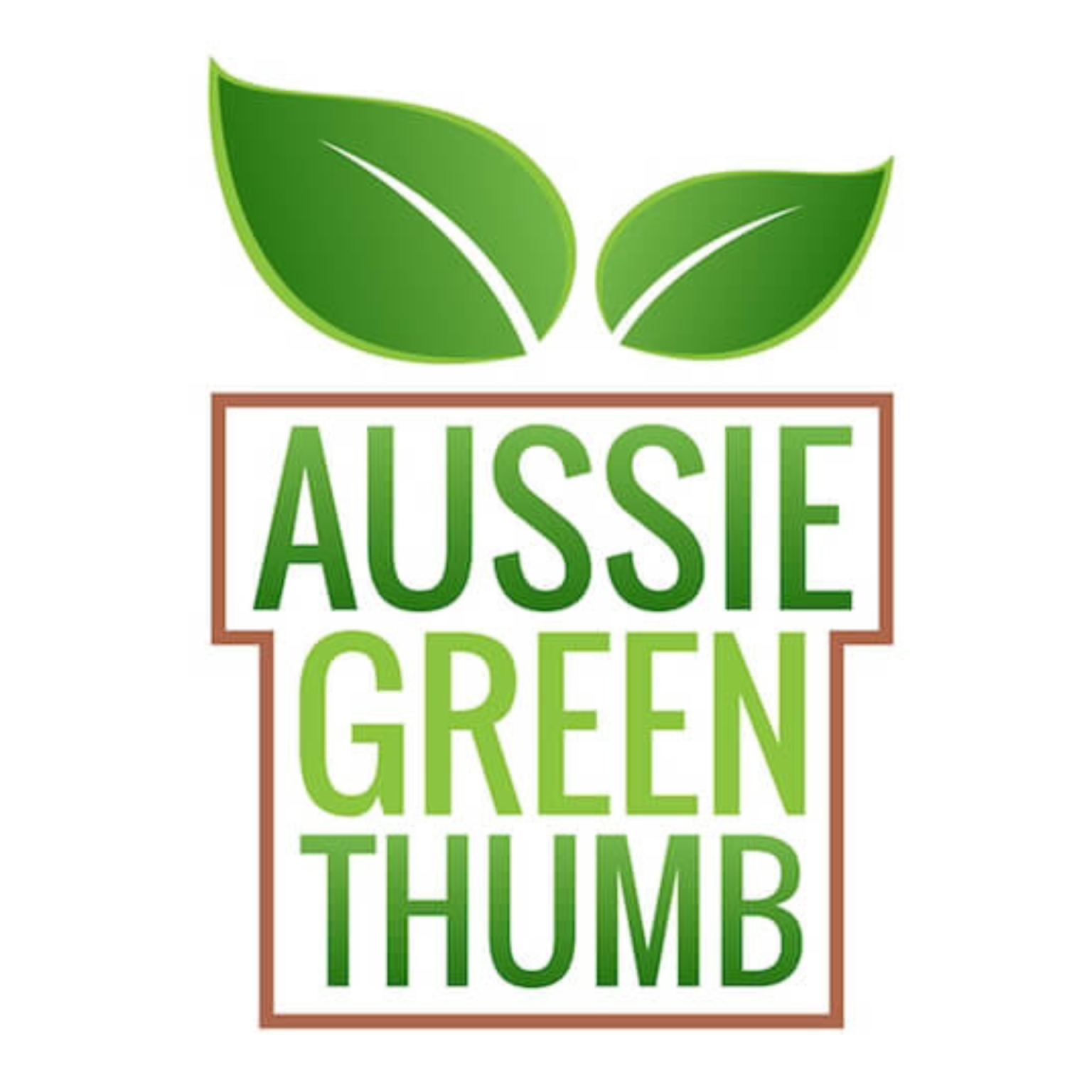 Cabbage Moth: How to Identify, Control, and Prevent : AGT